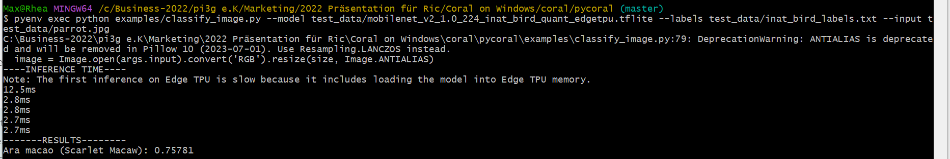 Coral USB inference not working on Windows 10 (ValueError: Failed to load delegate from edgetpu ...